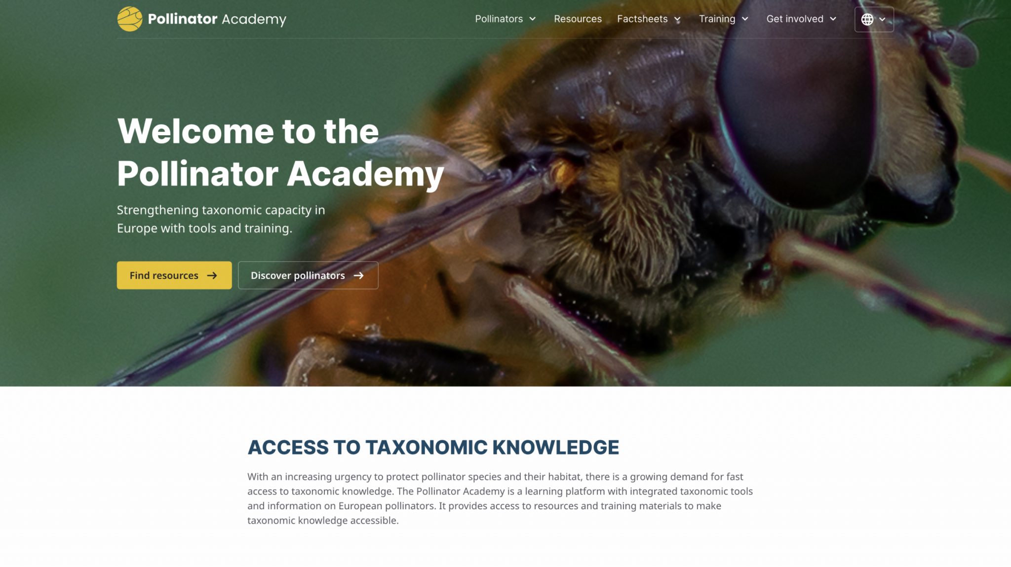POLLINATOR ACADEMY | SOS Polinizadores